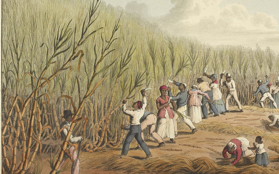 Why Did The Plantation System Develop In The Southern Colonies